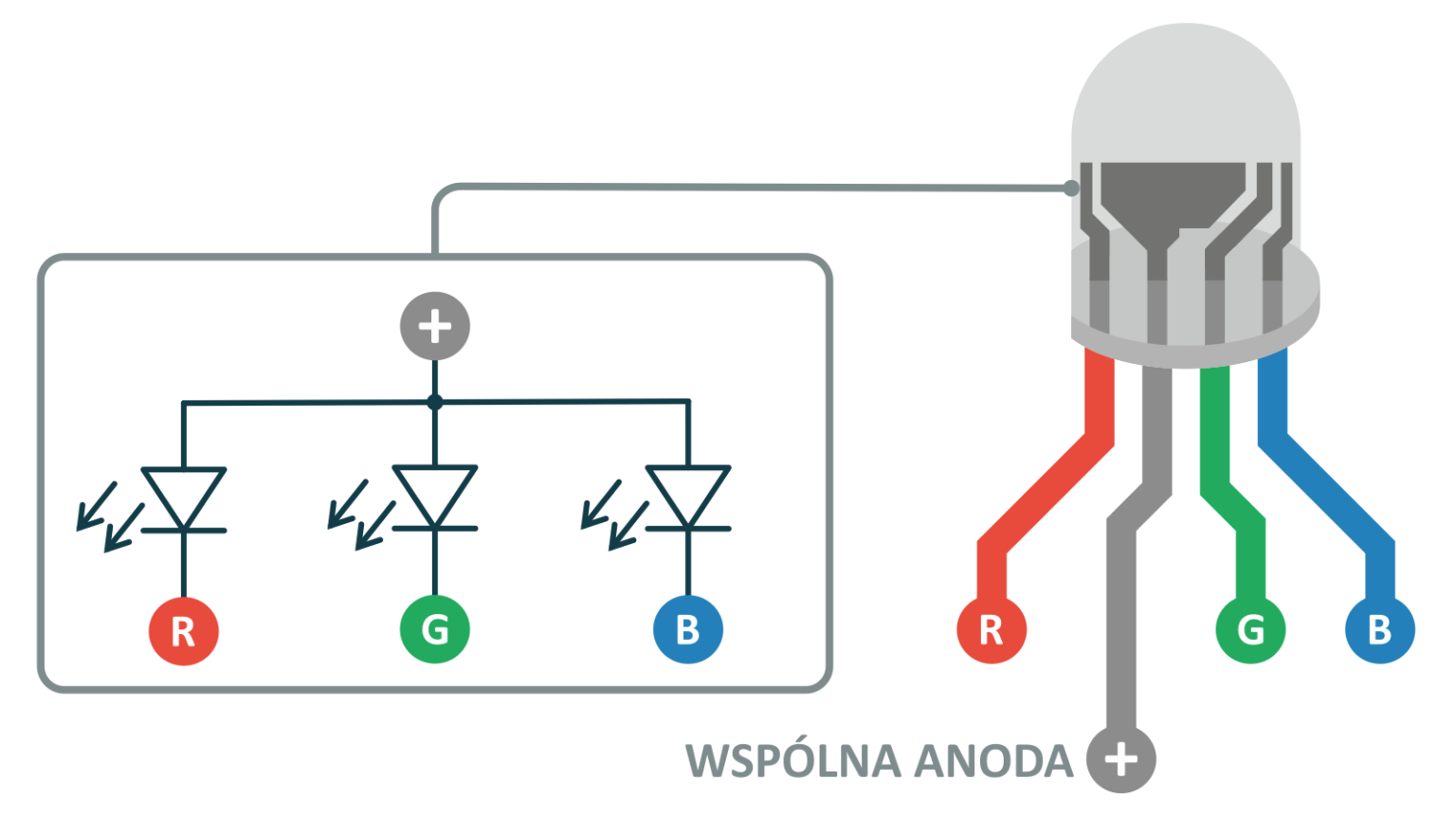 Kontaktrony, przyciski i diody RGB w kursie elektroniki • FORBOT
